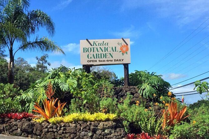 Maui Haleakala Volcano Summit Slingshot Tour from Kihei - The Experience: What You Can Expect