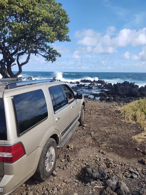 Maui: Halfway to Hana Black Sand Beach & Turtles Tour - Key Points