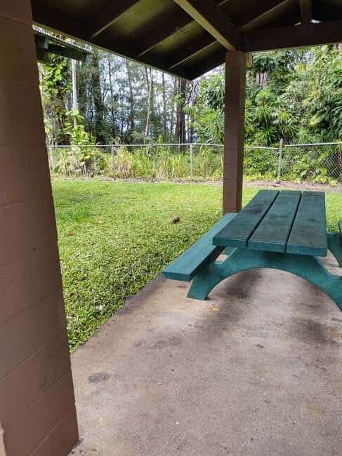 Maui: Halfway to Hana Black Sand Beach & Turtles Tour - FAQ