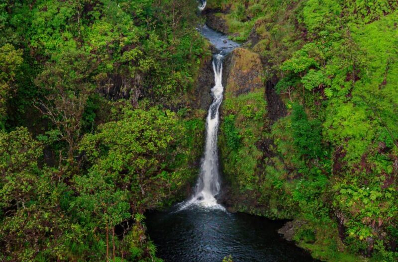 Maui: Hana Rainforest Helicopter Tour - The Sum Up