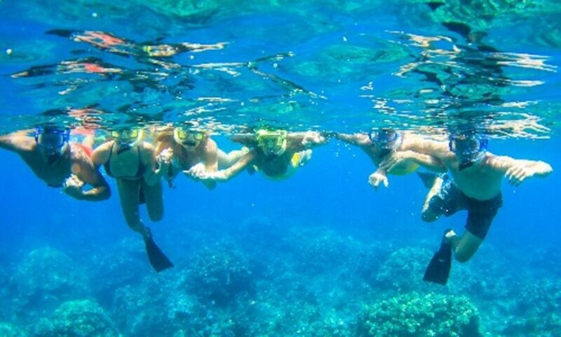 Maui: Kaanapali Beach 4-hour Snorkel w/ BBQ Lunch & Open Bar - Who Will Love This Tour?