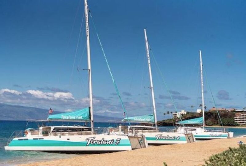 Maui: Kaanapali Dolphin Watching Boat Trip with Lunch - Who Should Book This Experience?