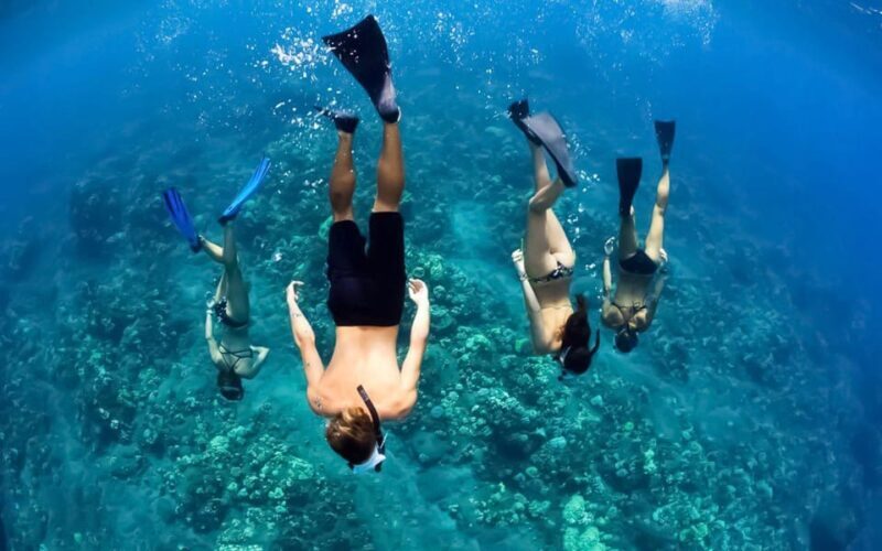 Maui: Luxury Catamaran Turtles & Tacos Snorkel - Maui: Luxury Catamaran Turtles & Tacos Snorkel – A Balanced Dive into Ocean and Island Flavors