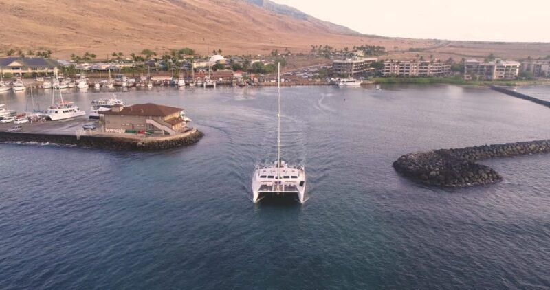 Maui: Luxury Catamaran Turtles & Tacos Snorkel - Final Words