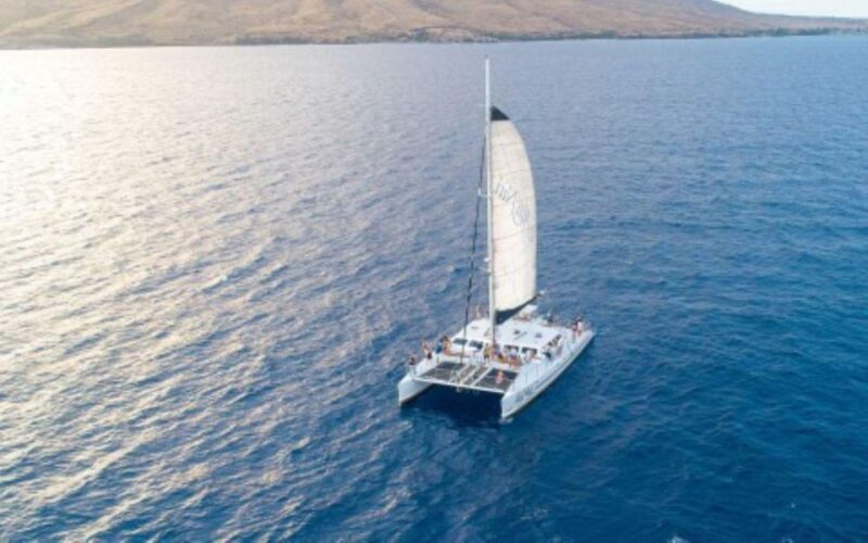Maui: Luxury Catamaran Whale Watch & Sail - The Itinerary and What to Expect