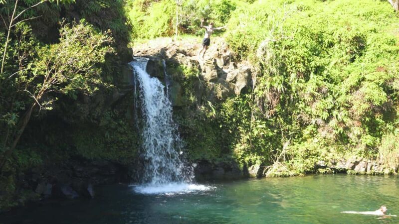 Maui: Private Road to Hana Rainforest and Waterfall Tour - The Experience of the Private Road to Hana Tour