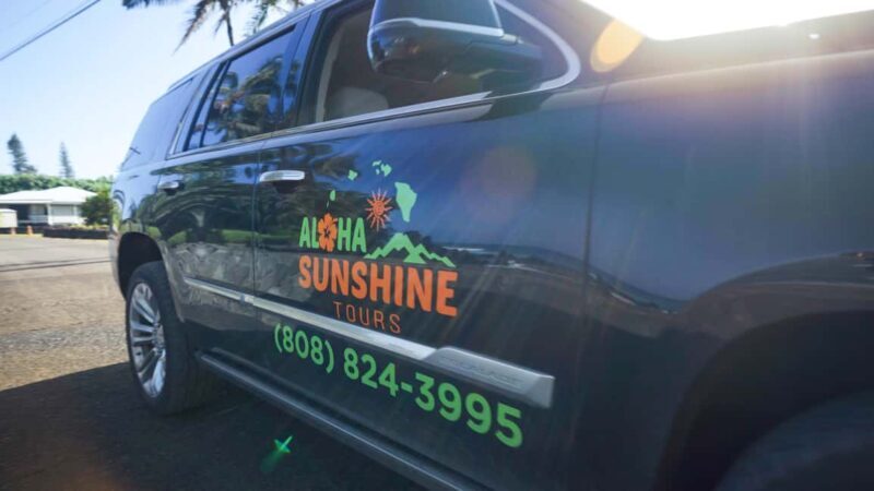 Maui: Private Road to Hana Rainforest and Waterfall Tour - Who Is This Tour Best For?