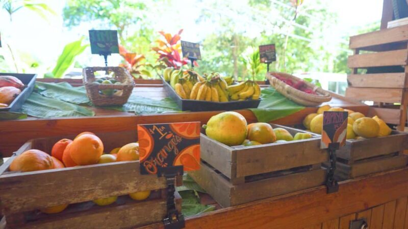 Maui: Private Road to Hana Rainforest and Waterfall Tour - FAQs