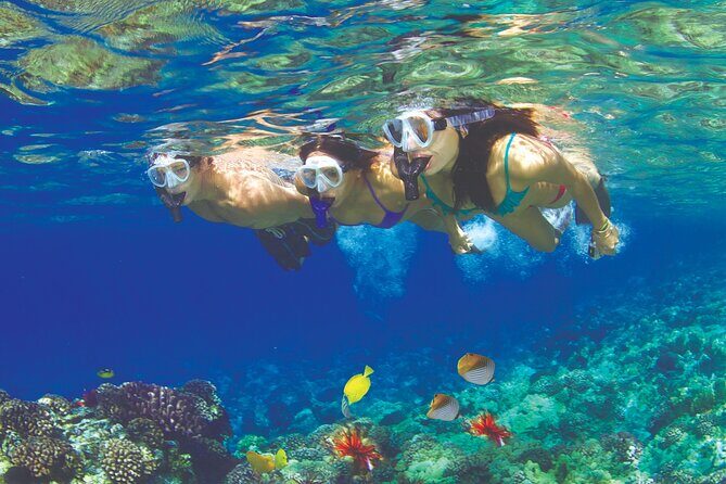 Maui Snorkel and Sunset Sail - Key Points