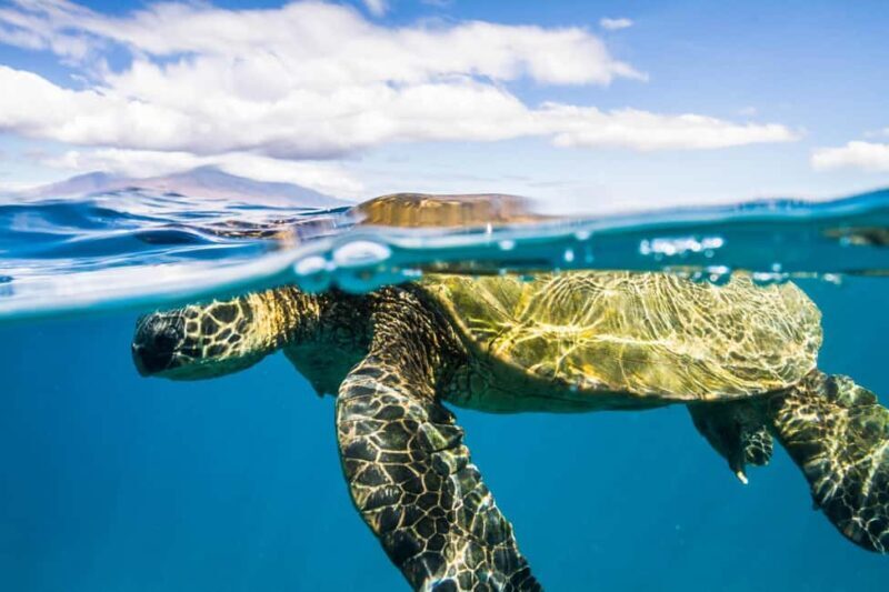 Maui: Snorkel and Sunset Sail with Water Slide - Who Should Consider This Tour?