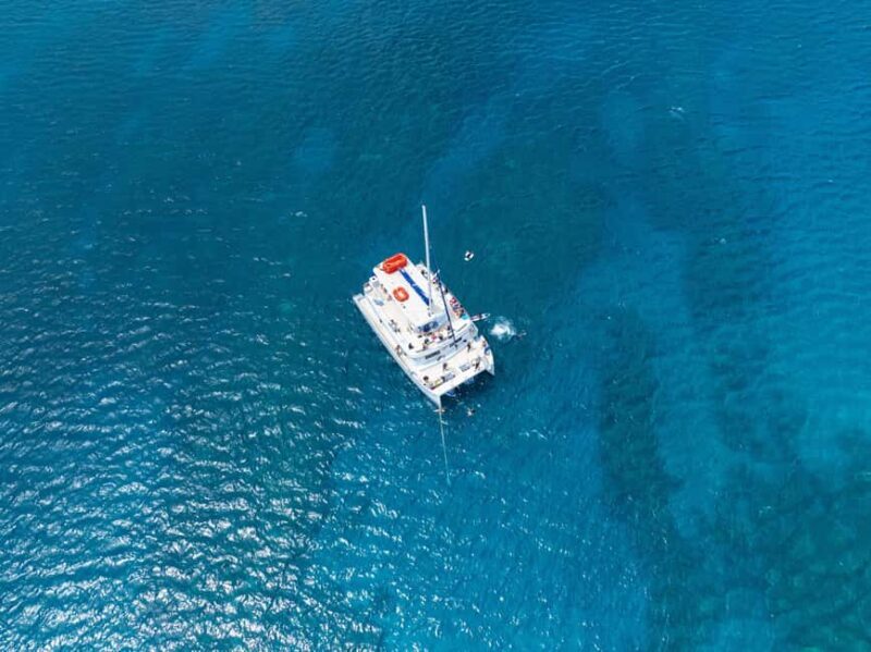 Maui: Snorkel Tour to Coral Gardens - Final Thoughts