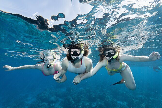 Maui Snorkeling Boat Tour to Turtle Town Aboard Quicksilver - Maui Snorkeling Boat Tour to Turtle Town Aboard Quicksilver: An Honest Review