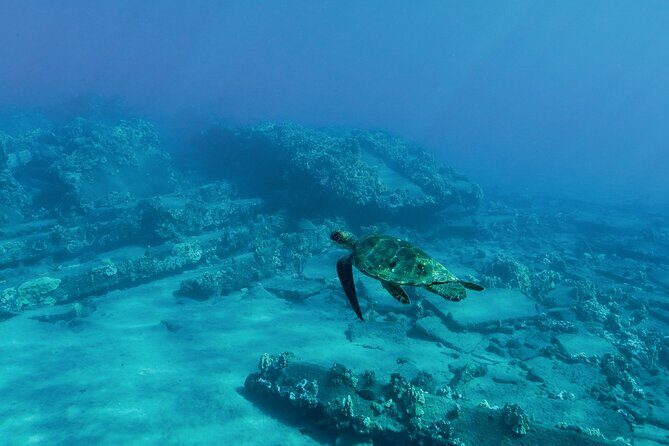 Maui Snorkeling Boat Tour to Turtle Town Aboard Quicksilver - Key Points