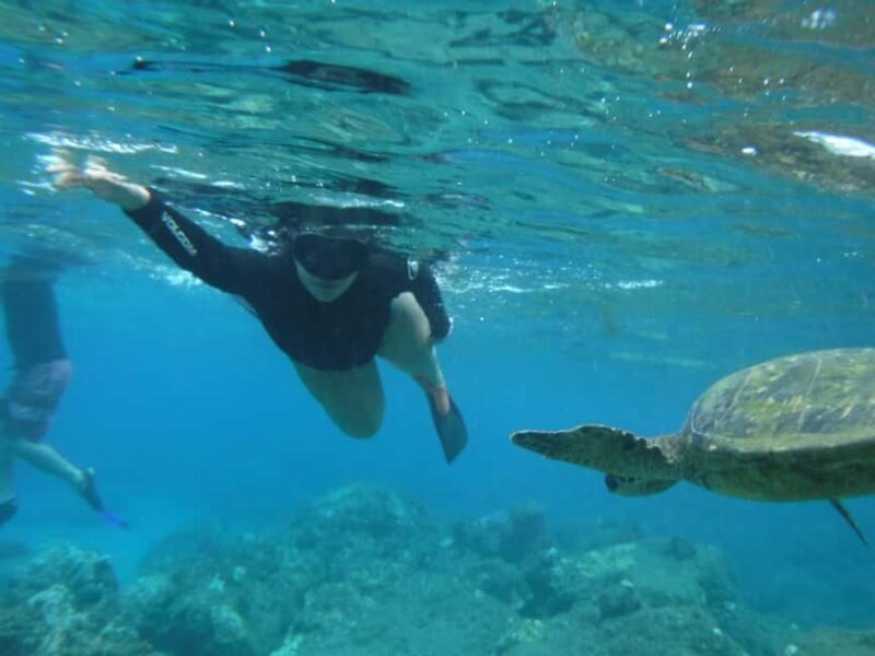 Maui: Snorkeling Tour with Gear and Instructor - Key Points