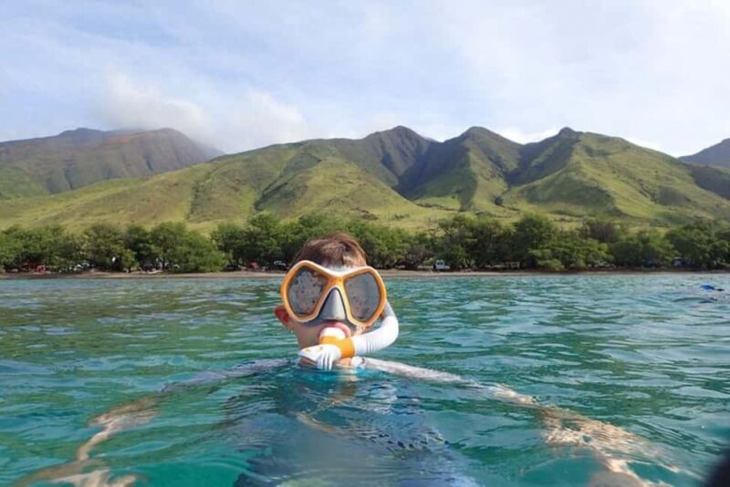 Maui: Snorkeling Tour with Gear and Instructor - Practical Details & Considerations