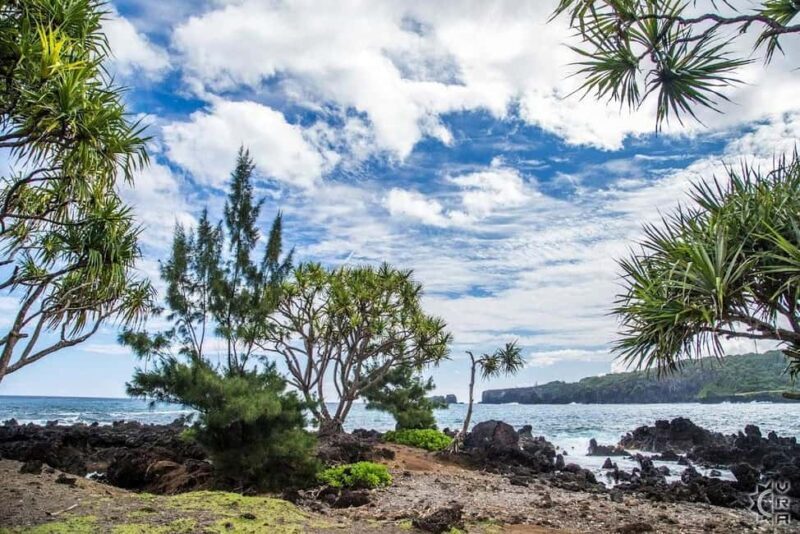 Maui: The Ultimate Road to Hana Slingshot Adventure Tour - Who Should Consider This Tour?