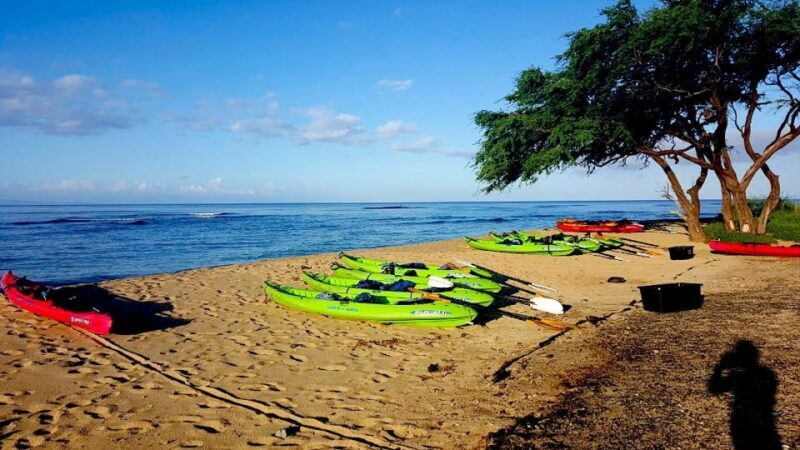 Maui: West Side Discovery Kayak & Snorkel from UKUMEHAME - Discovering Maui’s West Side by Kayak and Snorkel