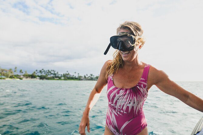 Mauna Kea 2hr One Stop Sealife Snorkel Adventure - The Itinerary and Experience