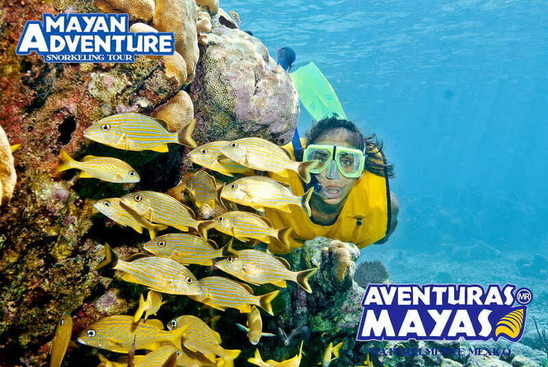 Mayan Adventure - 3 different snorkeling sites in one day! - Key Points