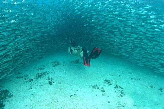 Mayan Adventure from Cancun - Who Will Love This Tour?