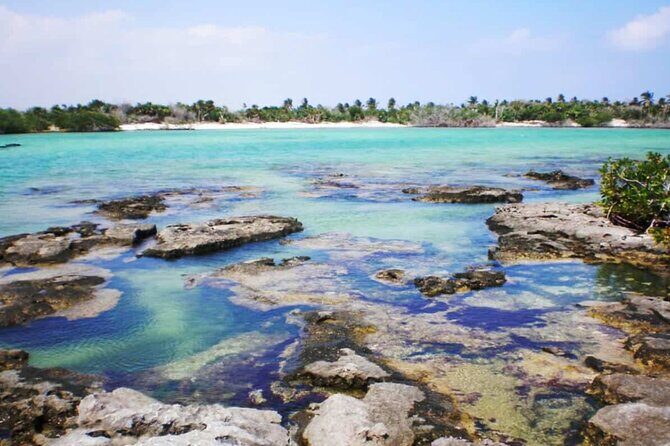 Mayan Adventure: Snorkel in Cove, Cenotes & Underground River - Introduction: What to Expect from the Mayan Adventure