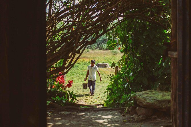 Mayan Backroads Private Bike Tour from Tulum - FAQs