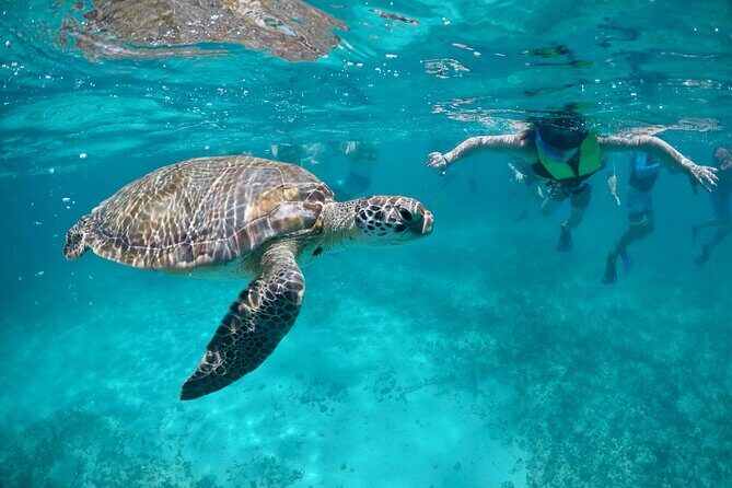 Mayan snorkeling (Akumal-Cenote-Caverna) - Key Points