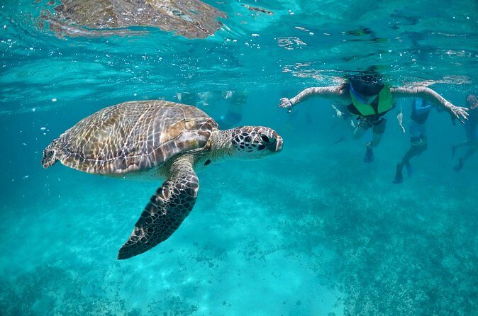 Mayan snorkeling (Akumal-Cenote-Caverna) - Eco Park and Traditional Lunch