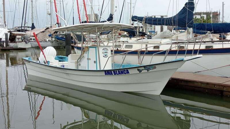 Mazatlan 3 Islands Snorkeling and Bird Watching Tour - Experience the Beauty of Mazatlan’s 3 Islands Snorkeling and Bird Watching Tour