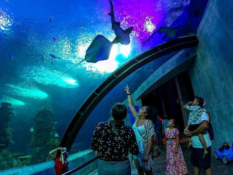 Mazatlan: Grand Aquarium Ticket and City Sightseeing Tour - Final Thoughts: Is This Tour for You?