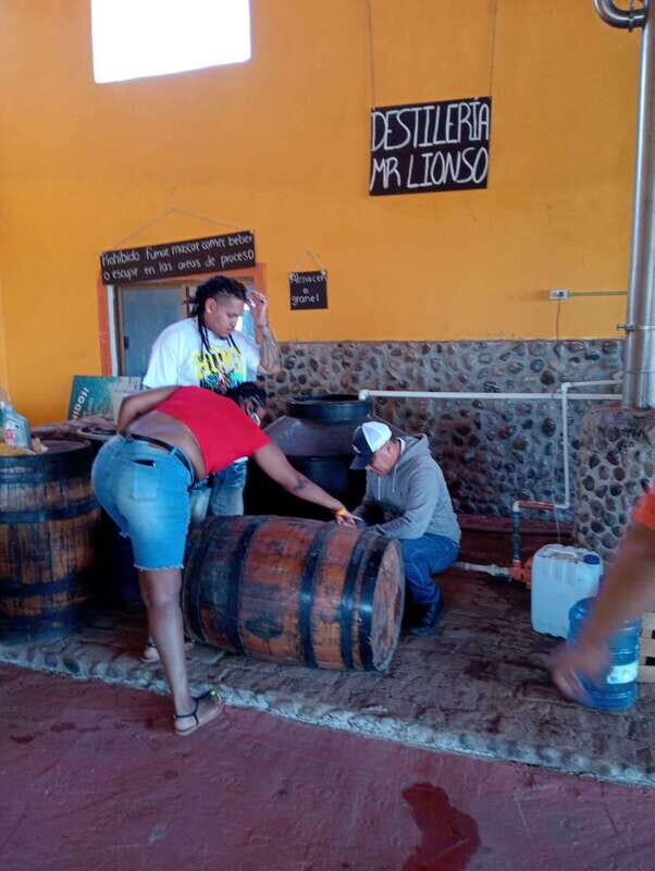 Mazatlan: Mezcal Factory Tour with Tasting and Lunch - The Sum Up