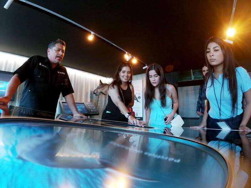 Mazatlán: MUNBA Interactive Ocean Museum Entry Ticket - Is This Tour Right for You?