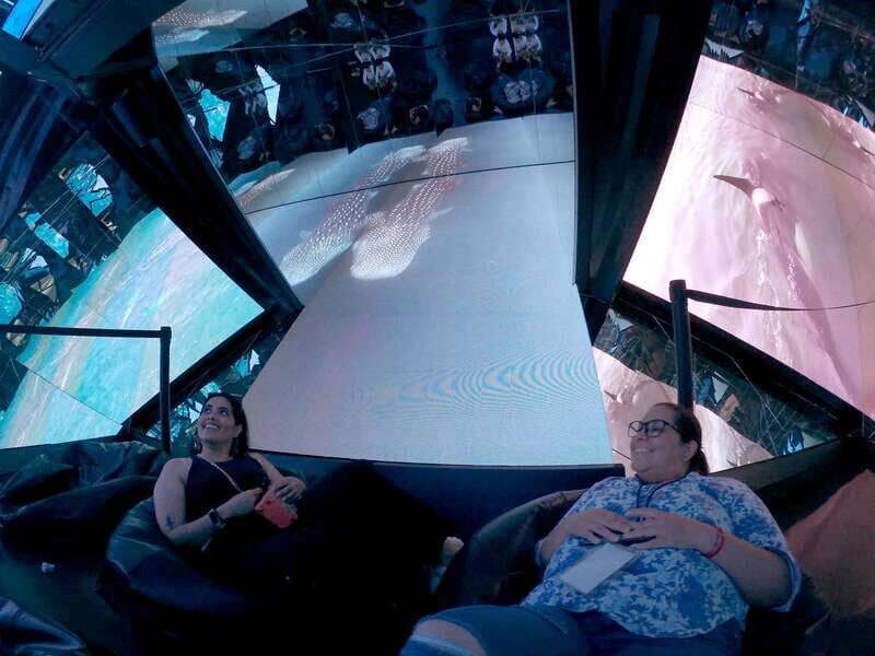 Mazatlán: MUNBA Interactive Ocean Museum Entry Ticket - Frequently Asked Questions