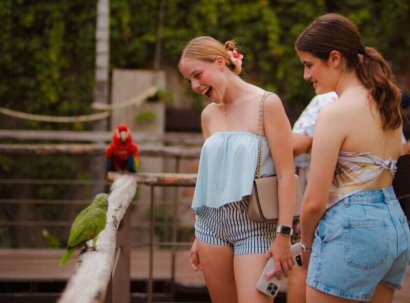 Mazatlán: Observatorio 1873 Cultural & Nature Experience - The Cultural Experience: Cacao Ceremony and Museum Visits