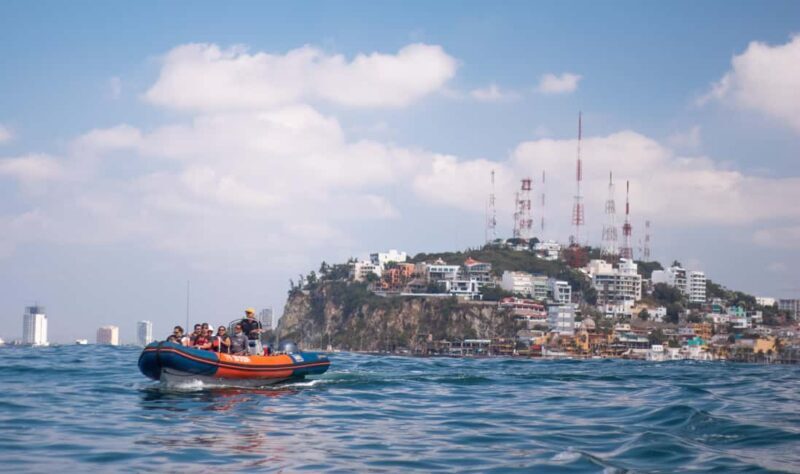 Mazatlán: Whale-Watching Boat Tour with Marine Experts - Who Is This Tour Best For?