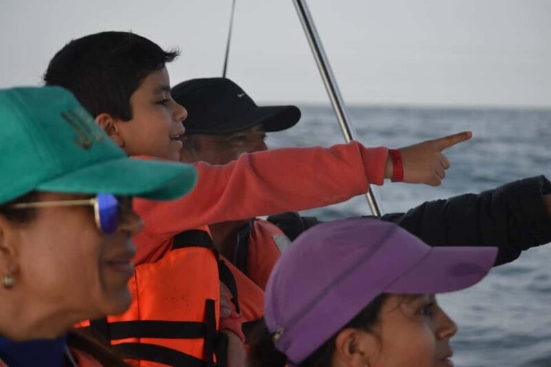 Mazatlán: Whale-Watching Boat Tour with Marine Experts - The Sum Up