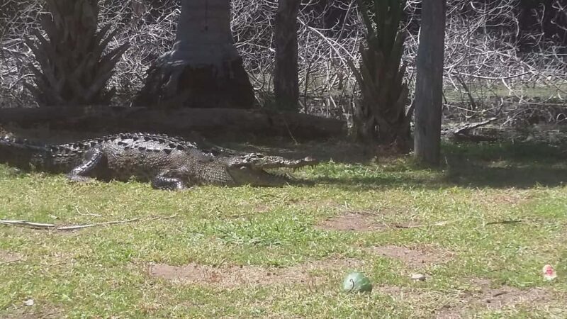 Mazunte-Ventanilla and Zipolite Ecotour - An Authentic Glimpse of Oaxaca’s Coastal Ecosystem