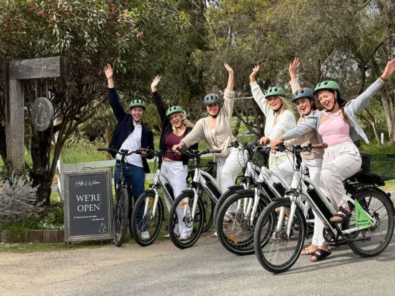 McLaren Vale: E-Bike Rental to Explore the Vineyards - Exploring McLaren Vale on an E-Bike: A Practical and Delicious Journey