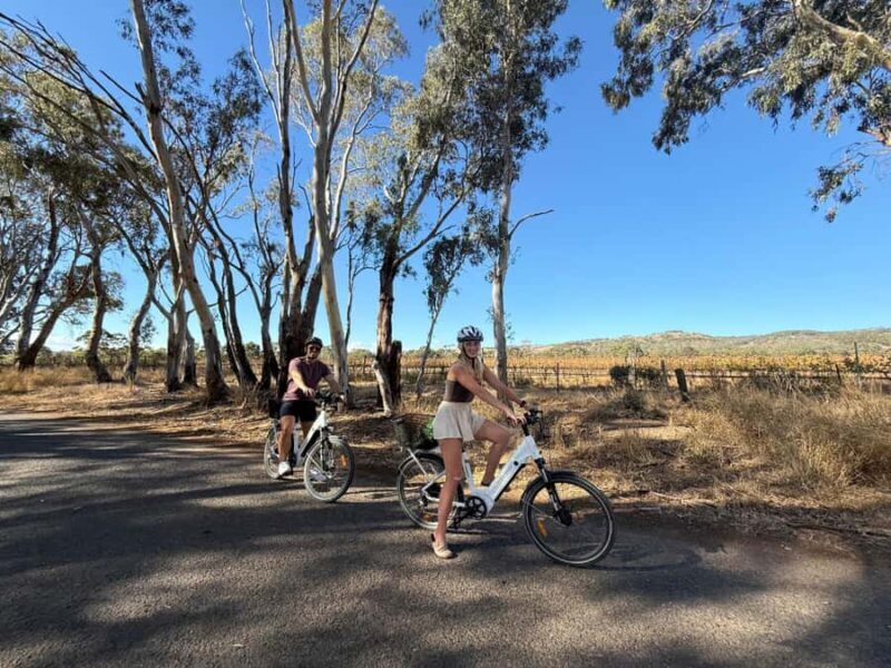 McLaren Vale: E-Bike Rental to Explore the Vineyards - Key Points
