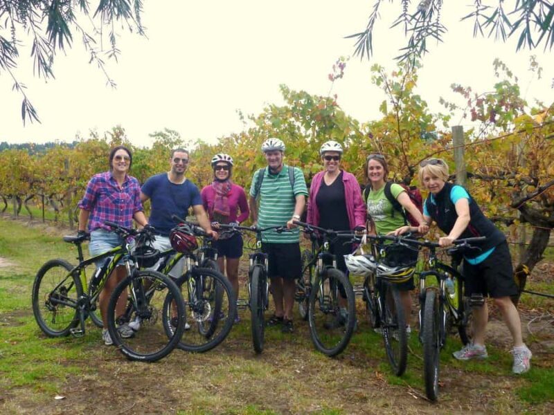 Mclaren Vale Hills Vines and Wines Bike Tour from Adelaide - Key Points