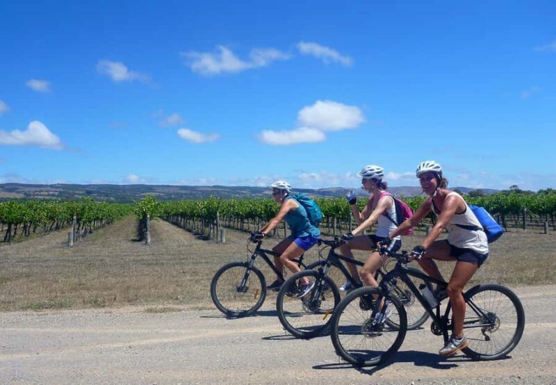 Mclaren Vale Hills Vines and Wines Bike Tour from Adelaide - What to Expect from the McLaren Vale Hills Vines and Wines Bike Tour