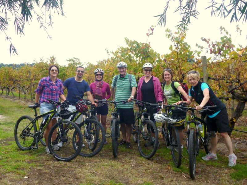 Mclaren Vale Hills Vines and Wines Bike Tour from Adelaide - Value and Practical Considerations