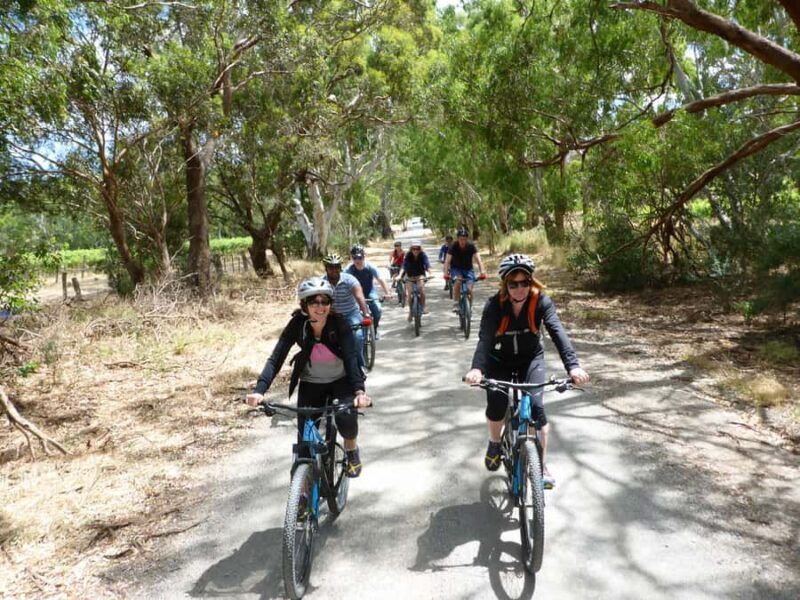 Mclaren Vale Hills Vines and Wines Bike Tour from Adelaide - Who Would Love This Tour?