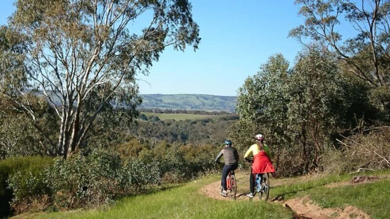 Mclaren Vale Hills Vines and Wines Bike Tour from Adelaide - FAQ
