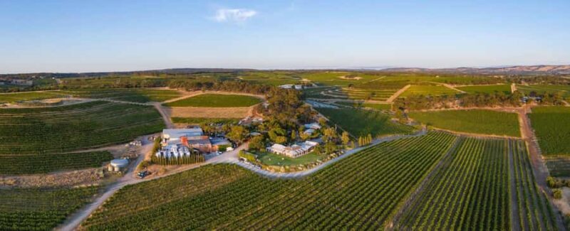 McLaren Vale North: Hop-On Hop-Off Tour - Key Points