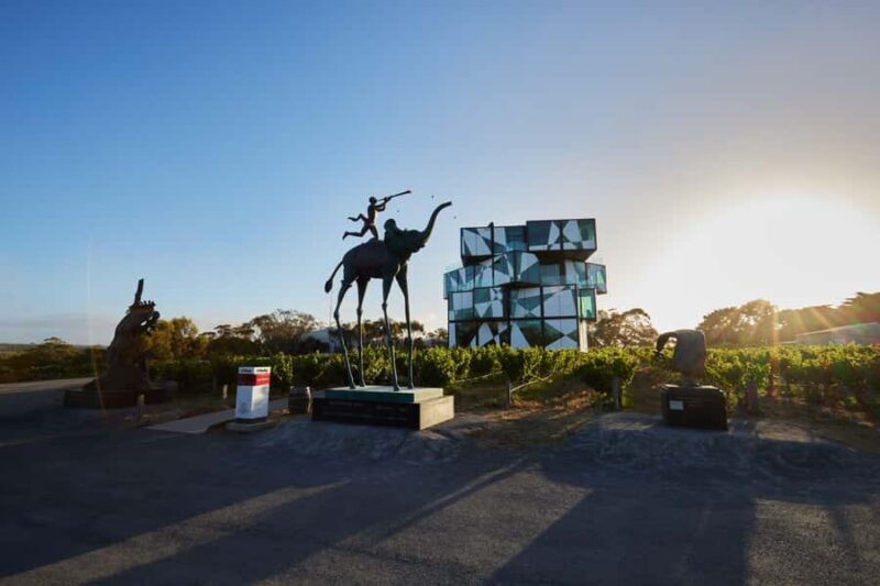 McLaren Vale North: Hop-On Hop-Off Tour - Authentic Insights from Travelers