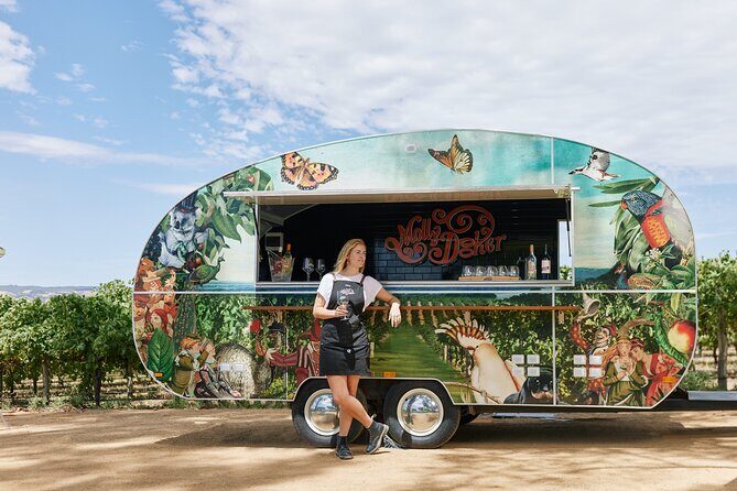 McLaren Vale North Hop-On Hop-Off Wine Tour - Who Should Book This Tour?