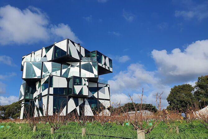 McLaren Vale Private Wine Tour - Exploring the McLaren Vale Private Wine Tour: A Deep Dive