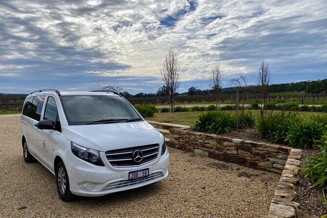 McLaren Vale Small Group Wine Tour inc d'Arenberg Cube & lunch - The Experience and Why It Excels