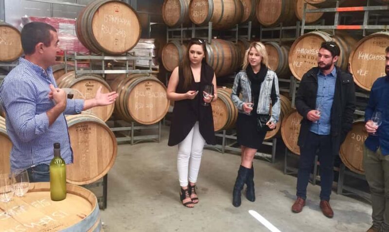 McLaren Vale: Small Group Wine Tour (Includes Lunch) - Introducing the McLaren Vale Small Group Wine Tour (Includes Lunch)